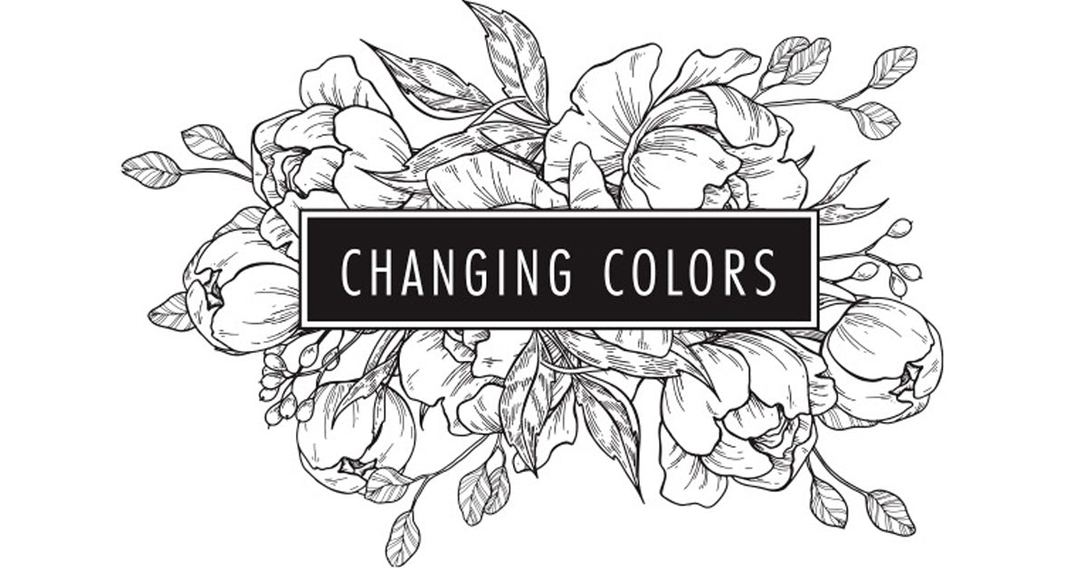 Meet The Owner – Changing Colors
